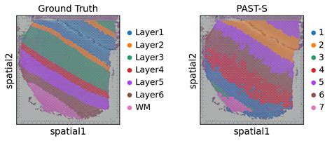 Tutorial Analysis Of X Visium DLPFC Data PAST Documentation