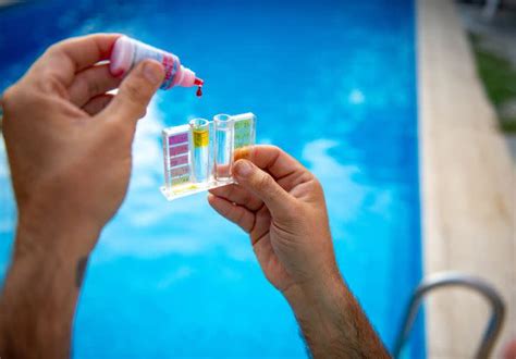 Everything Youve Been Told About Peeing In Swimming Pools Is A Lie