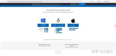Win Linux Wsl Vscode