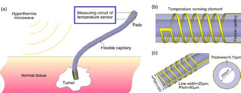 A Flexible Implantable Micro Temperature Sensor On Polymer Capillary For Biomedical Applications