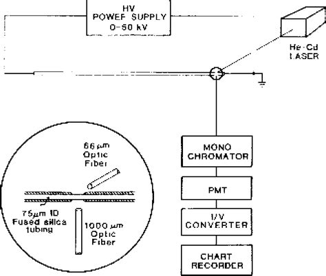 Figure 2 From Determination Of Methotrexate And Its Major Metabolite 7 Hydroxymethotrexate