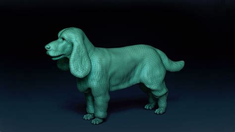 Artstation English Cocker Spaniel Base Mesh 3d Model Resources