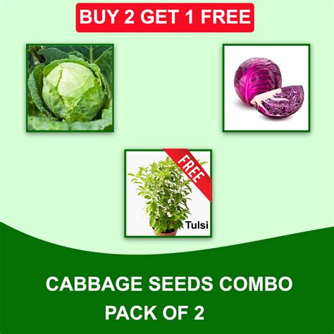 Cabbage Seeds Combo Ugrow Seeds