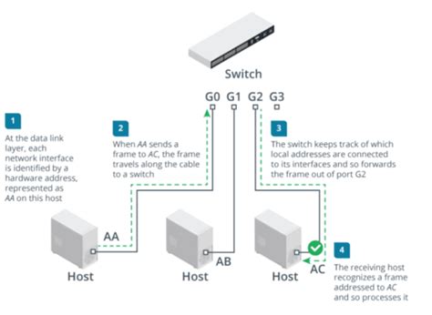 Ch 1 Comparing Osi Model Network Functions Flashcards Quizlet