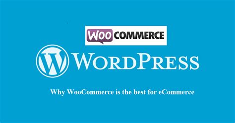 Why WooCommerce Is The Best For ECommerce ITreeni