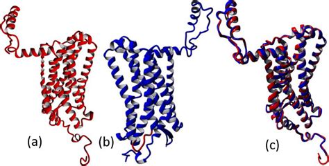 Using Molecular Dynamics Simulations To Show Differences Of Movement Over Time In The Ccr5
