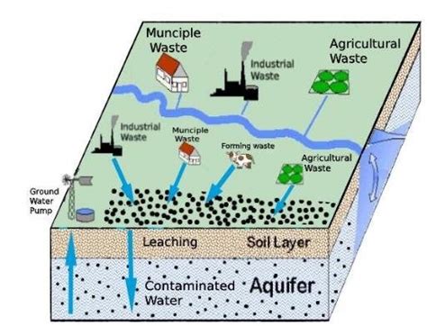 Surface Water Pollution Diagram