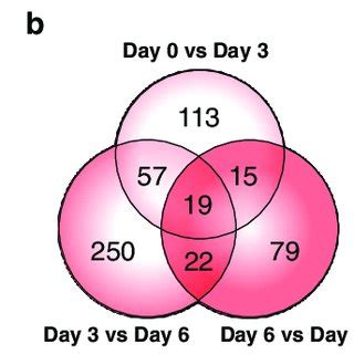 Overlap Of Development Dependent And Sex Dependent Differentially Download Scientific Diagram