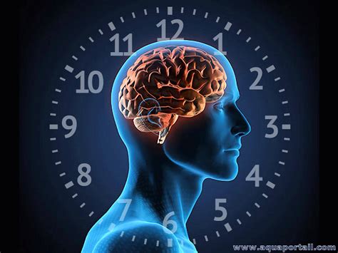 horloge interne définition et explications