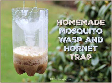 Homemade Mosquito Trap Make Homemade Wasp And Mosquito Traps