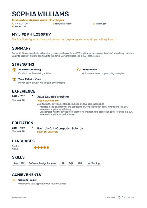 Junior Java Developer Resume Examples Guide For