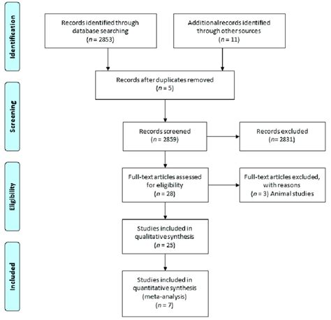 Flowchart Of The Process Of Searching For And Selecting Articles In Download Scientific Diagram