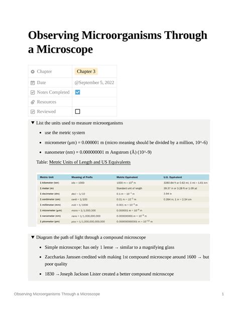 Observing Microorganisms Through A Microscope Observing Microorganisms Through A Microscope