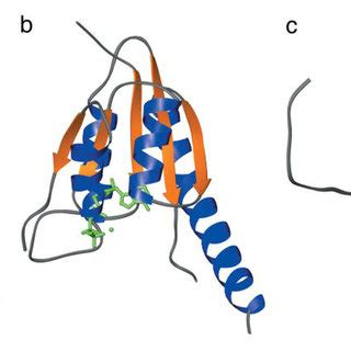 Structural Similarities To ATP Binding Proteins The Three Dimensional Download Scientific