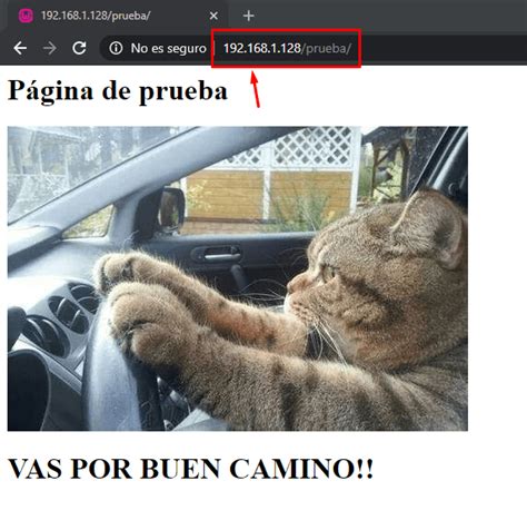 ⚡ Instalar Y Configurar Wampserver 3 En Windows 10 Yeabit