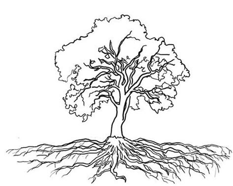 Oak Tree Outline With Roots