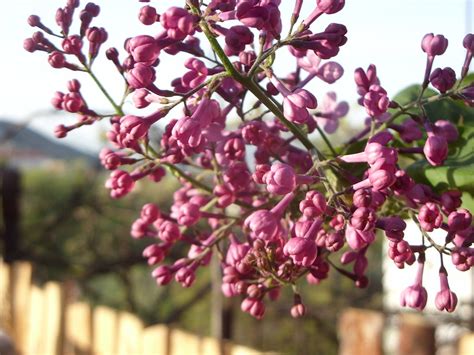 Селски работи Page 22 Форум