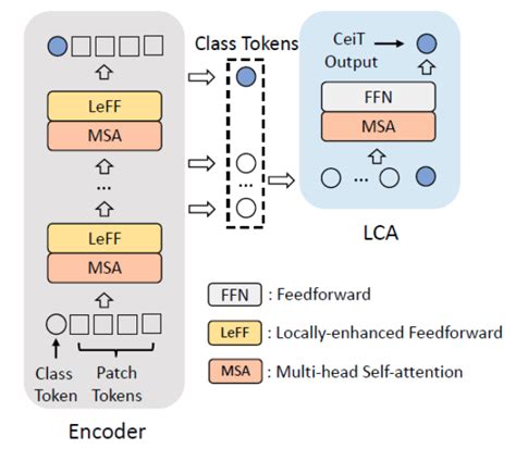 Vision Transformer 演化史 Incorporating Convolution Designs Into Visual