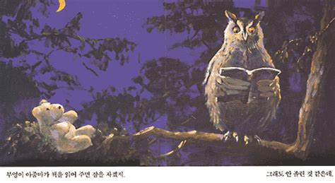 책 중에서 오마이포토