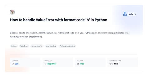 How To Handle Valueerror With Format Code B In Python Labex