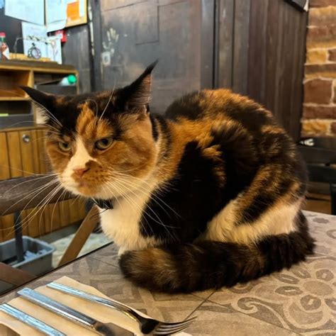 Tree L Tree Trialanderror • Threads Say More