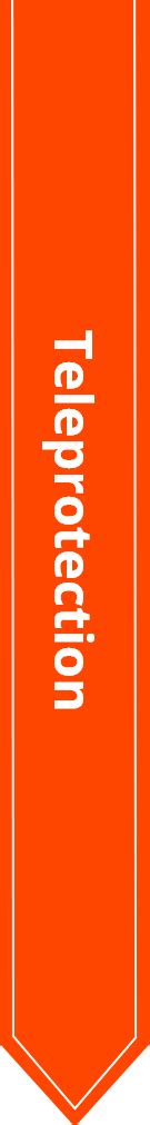 IP MPLS Routers Teleprotection IEEE C37 94 NTP PTP 1588v2 Valiant