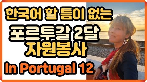 [로지스쿨] 숙식제공 무료 여행 안할 이유가 없다 월드패커스 자원봉사 [포르투갈 12] Youtube