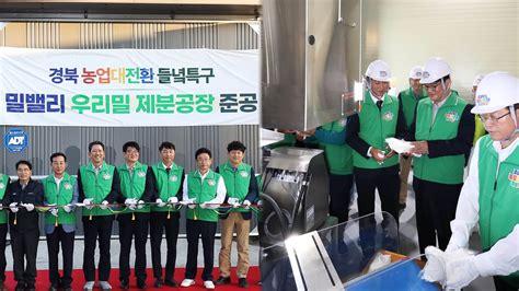 경북 1호 밀 재배특구서 첫 밀가루 생산식량안보 높인다 연합뉴스tv Yonhapnewstv Youtube