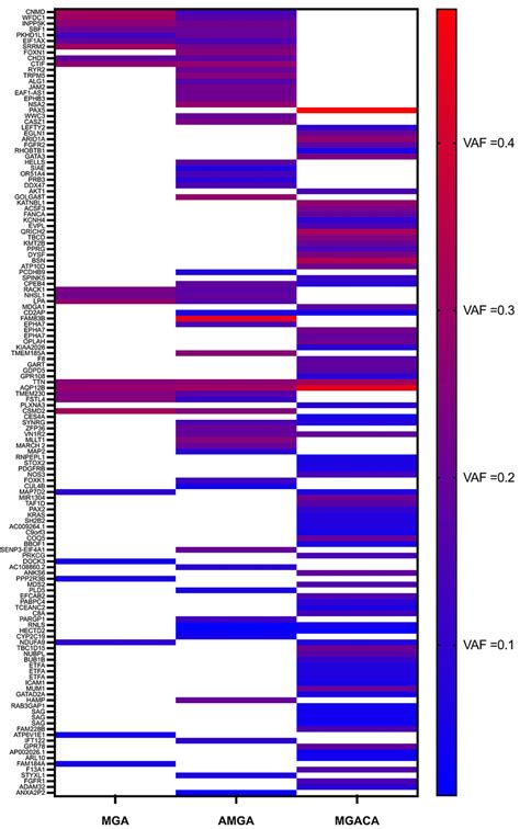 Heatmap Of All Single Nucleotide Variants Identified By Whole Exome Download Scientific Diagram
