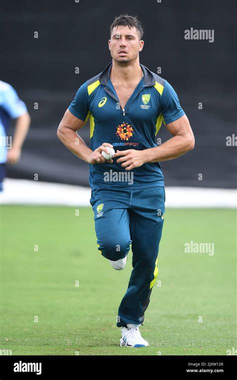 Marcus Stoinis Of The Australian Cricket Team During A Training Session