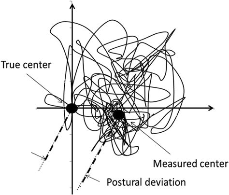 The Trajectory Of Center Of Gravity During Balance The Solid Circles