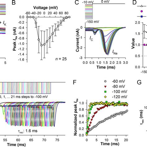 Multiple Inward Currents A Voltage Clamp Recording With Two Download Scientific Diagram
