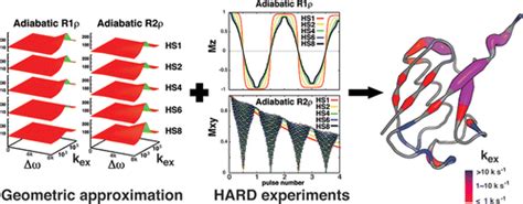 几何近似：一种从 Nmr 绝热弛豫弥散实验中表征蛋白质动力学的新计算方法 Journal Of The American Chemical Society X Mol