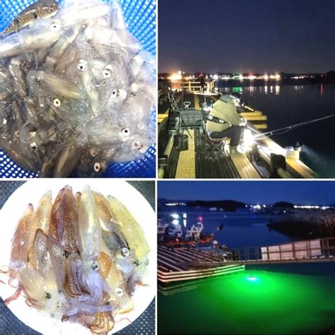 서해 태안 호래기낚시 꼴뚜기 해루질 봄철에 만난 더 커진덩치 At 당암포구 채비와 준비물 잡는 방법 네이버 블로그