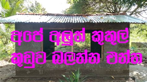 අලුත් කූකුල් කූඩුව Our New Chicken Coop Youtube