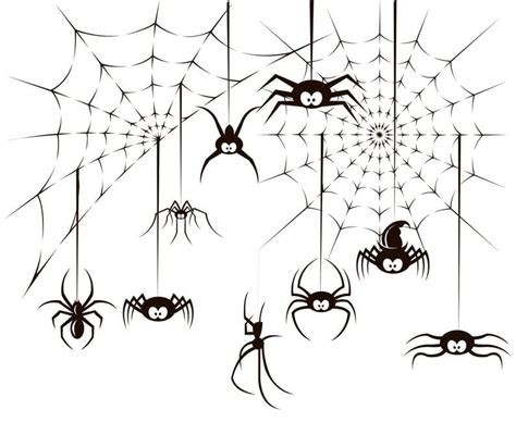 Паук на паутине рисунок карандашом 85 фото