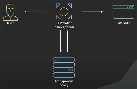 Proxy Vs Reverse Proxy Farmerboys System Design Resources