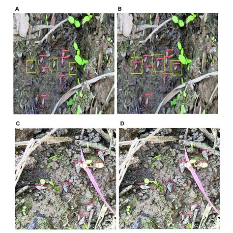 The Result Of Object Detection Ac The Prediction Of The Yolov5s
