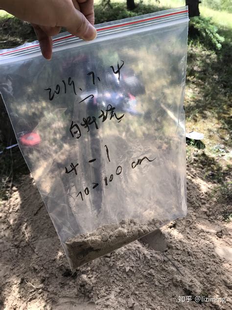 植物、土壤地理学实习日志 知乎