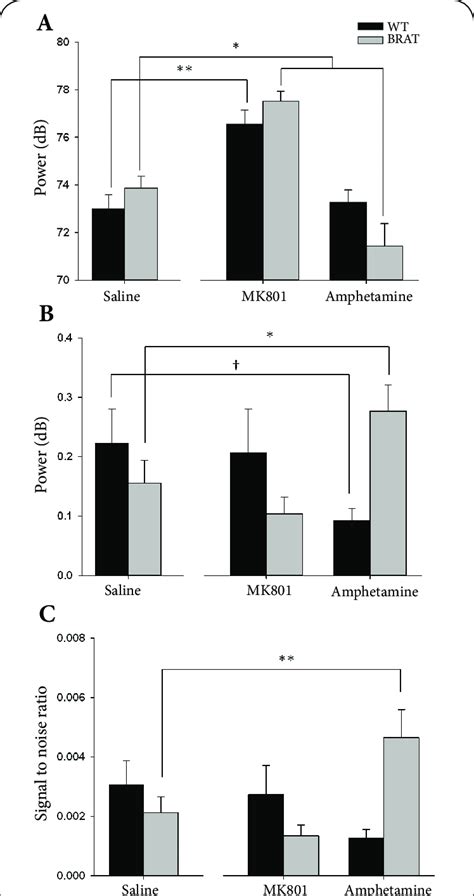 Time Frequency Analysis Of The EEG Phase Locked To The Auditory Download Scientific Diagram