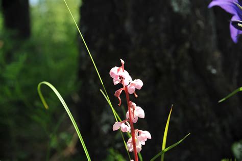 Байгаль орчны үнэлгээ судалгаа