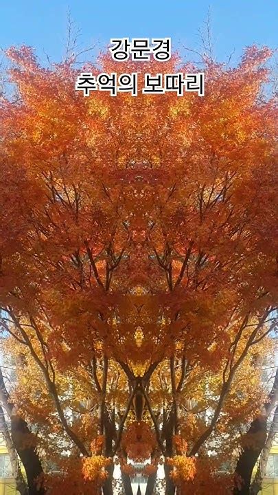 강문경추억의 보따리 Youtube