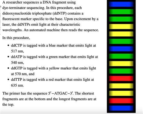 Solved A Researcher Sequences A Dna Fragment Using