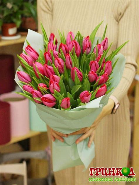 Купить розовые тюльпаны в СПб Тюльпаны розовые в интернет магазине Гринкод недорого