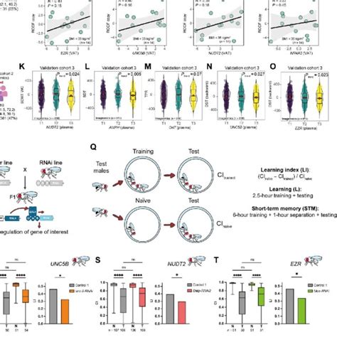 Selected Clusters From Active Subnetwork Oriented Pathway Analysis Of