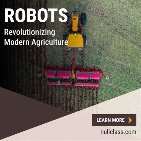 nullclass on linkedin nullclass realtimeproject internship