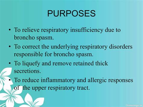Nebulization Pptx Lung And Respiratory Health Diseases And Conditions