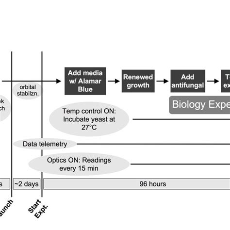 Reproducibility Of The Standard Curve Reproducibility Of 20