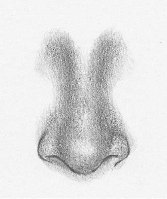 How To Draw A Nose Easy Without Shading