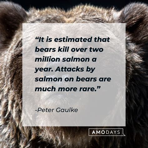 70 Bear Quotes A Tribute To These Majestic Creatures
